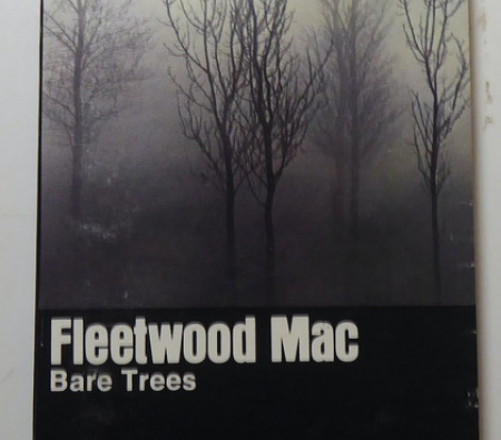 Fleetwood Mac – Bare Trees